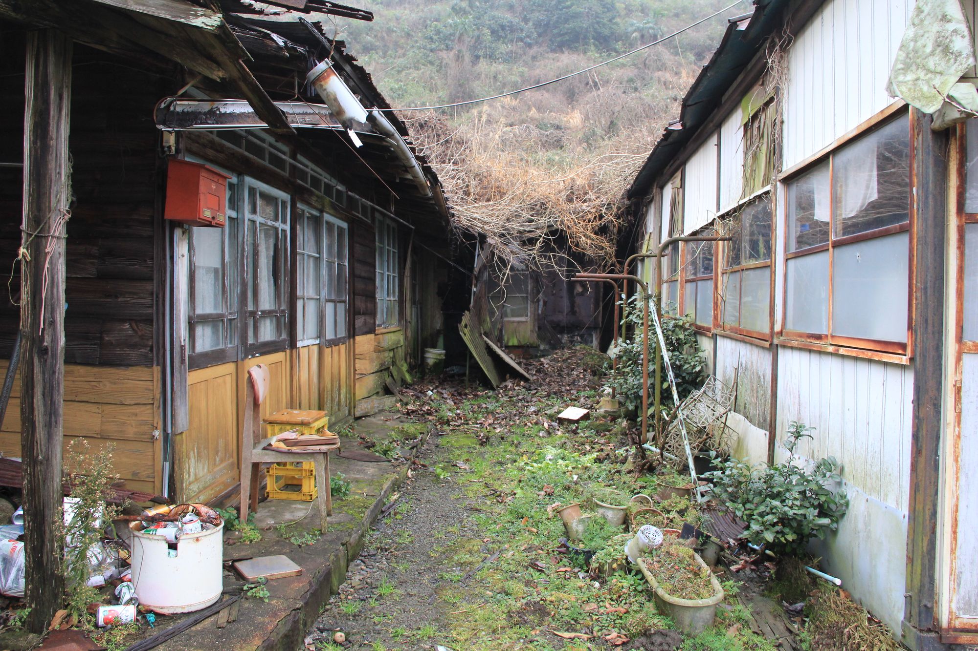 Senjo: the Cost Of Losing Japanese Marginal Villages | Traveling Circus ...