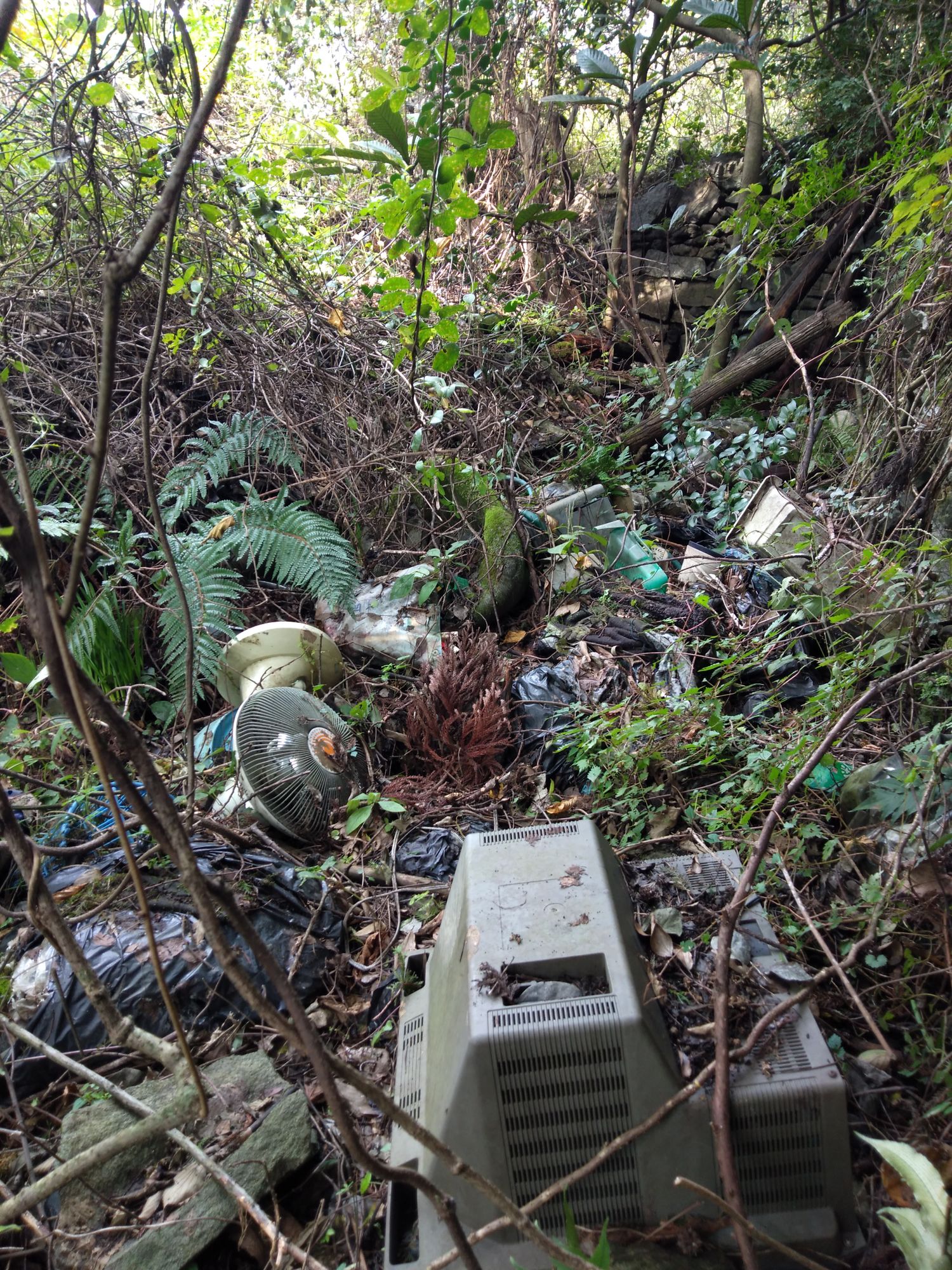 Senjo: the Cost Of Losing Japanese Marginal Villages | Traveling Circus ...