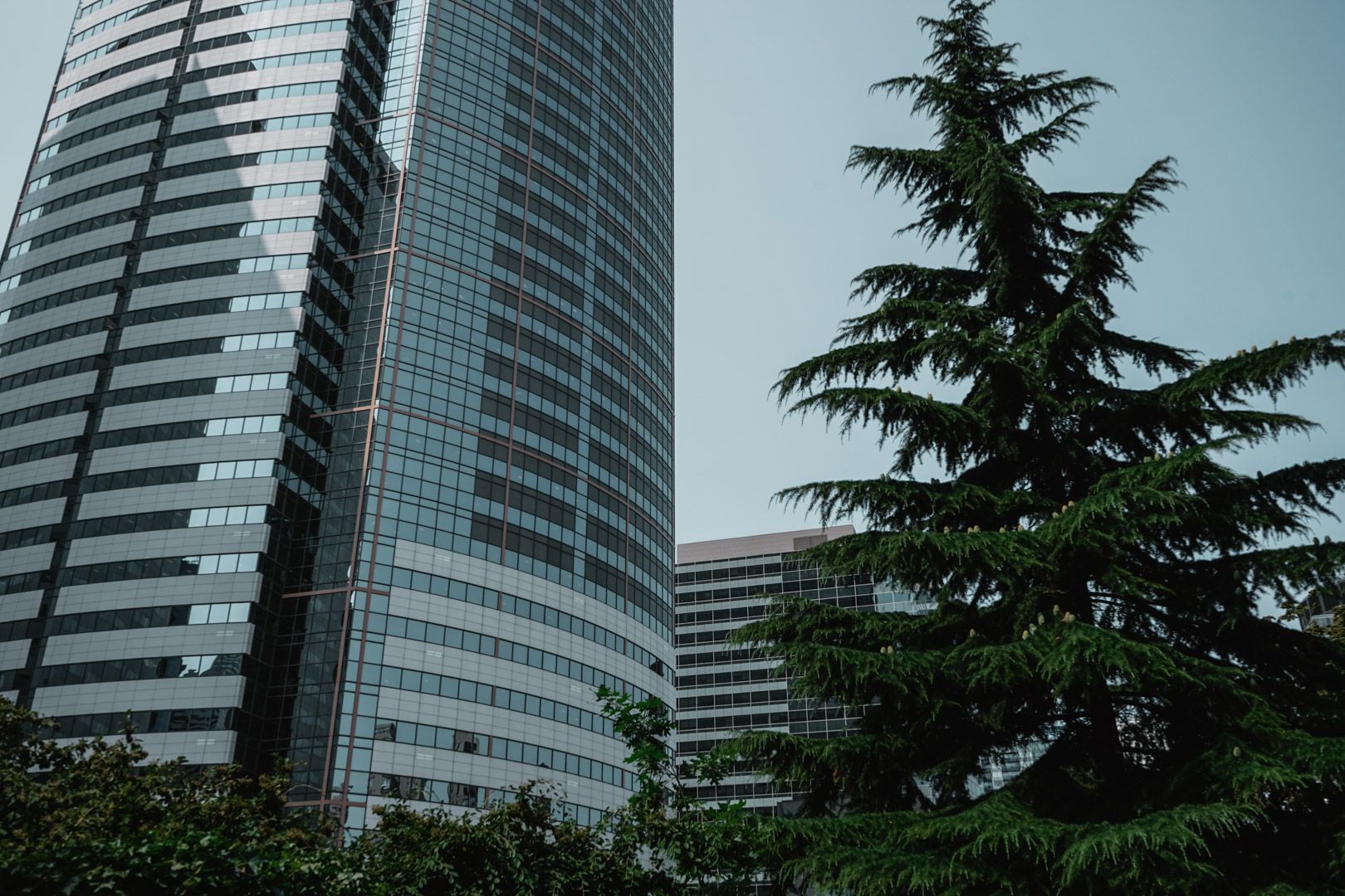 Freeway Park, an Urban Oasis That Bridges Over a Highway | Traveling ...