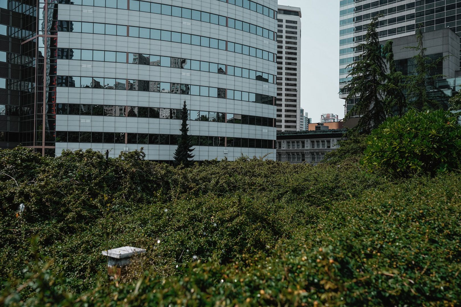 Freeway Park, an Urban Oasis That Bridges Over a Highway | Traveling ...