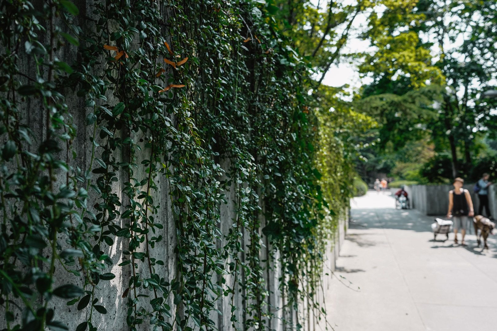 Freeway Park, an Urban Oasis That Bridges Over a Highway | Traveling ...
