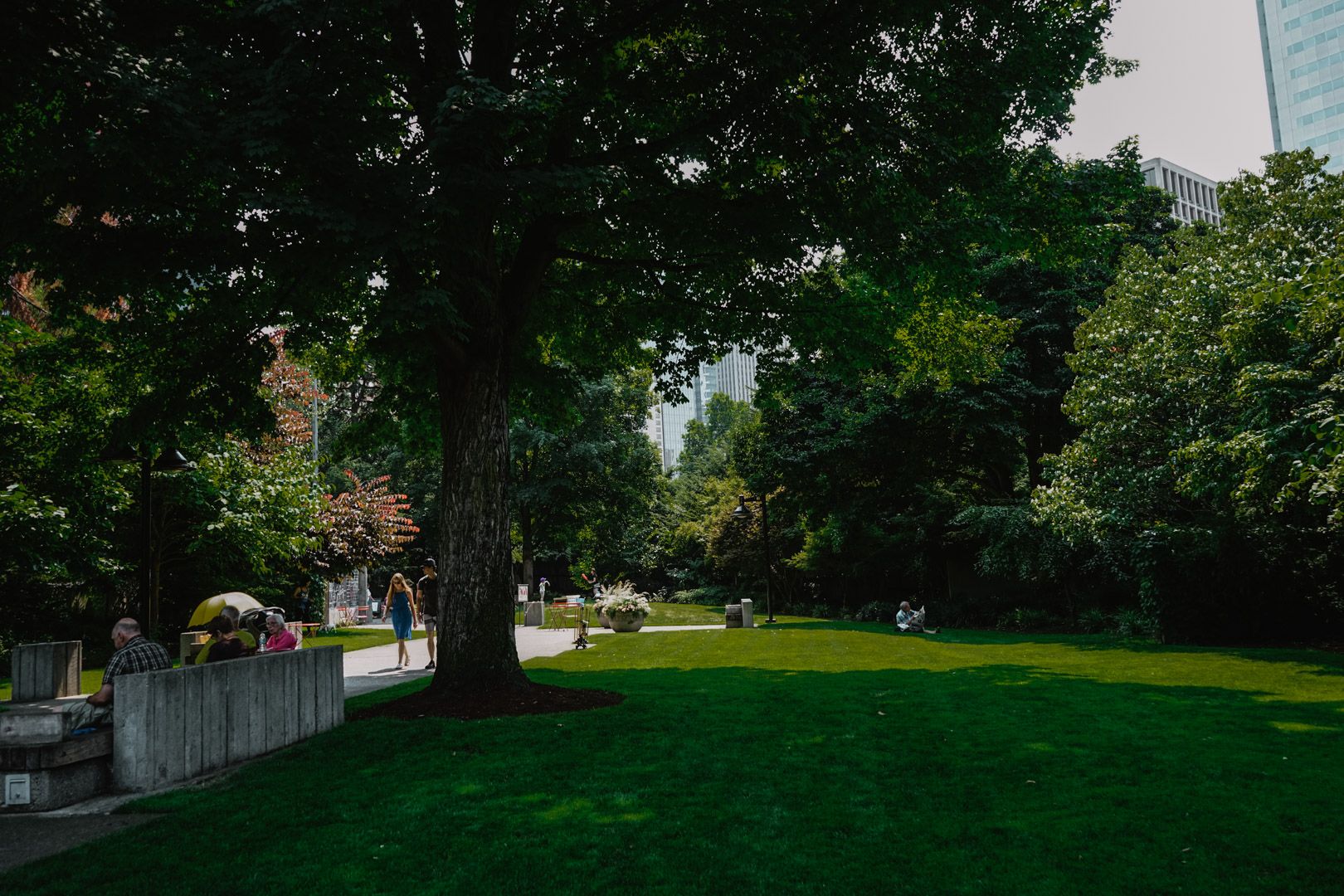 Freeway Park, an Urban Oasis That Bridges Over a Highway | Traveling ...