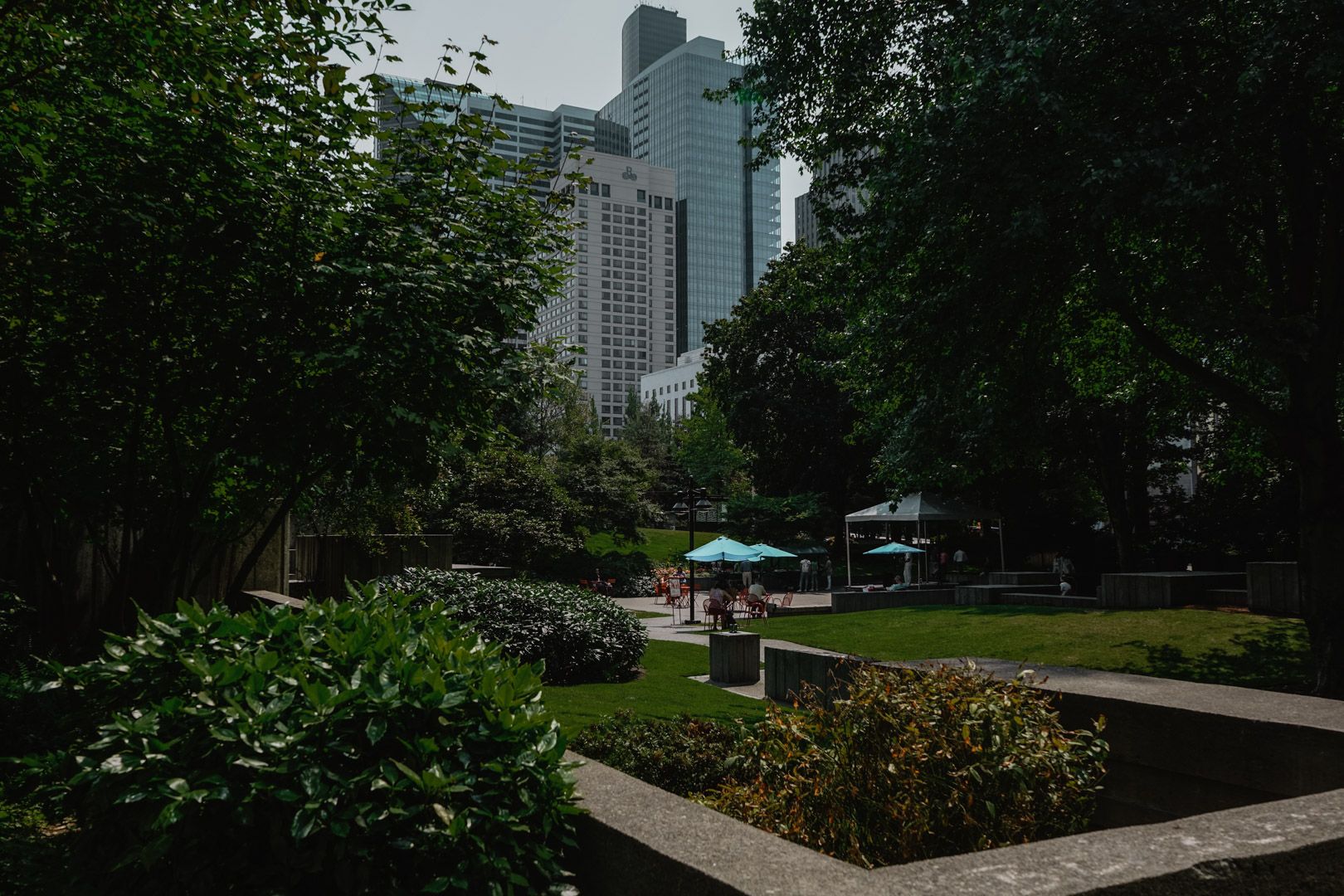 Freeway Park, an Urban Oasis That Bridges Over a Highway | Traveling ...