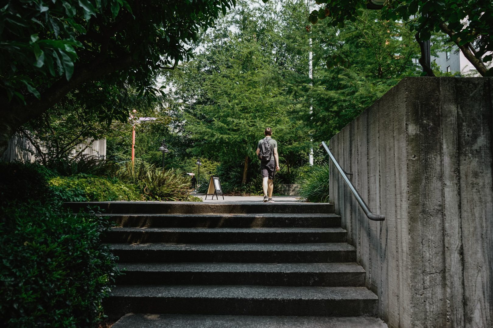 Freeway Park, an Urban Oasis That Bridges Over a Highway | Traveling ...