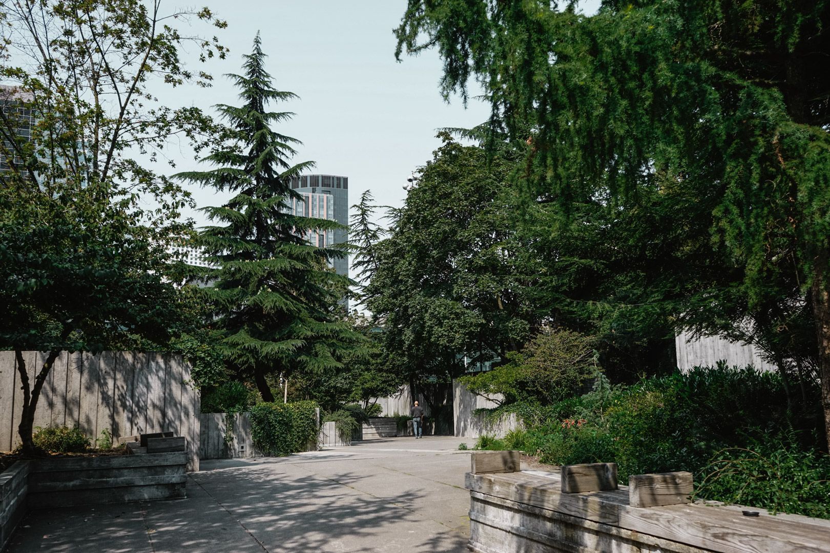 Freeway Park, an Urban Oasis That Bridges Over a Highway | Traveling ...