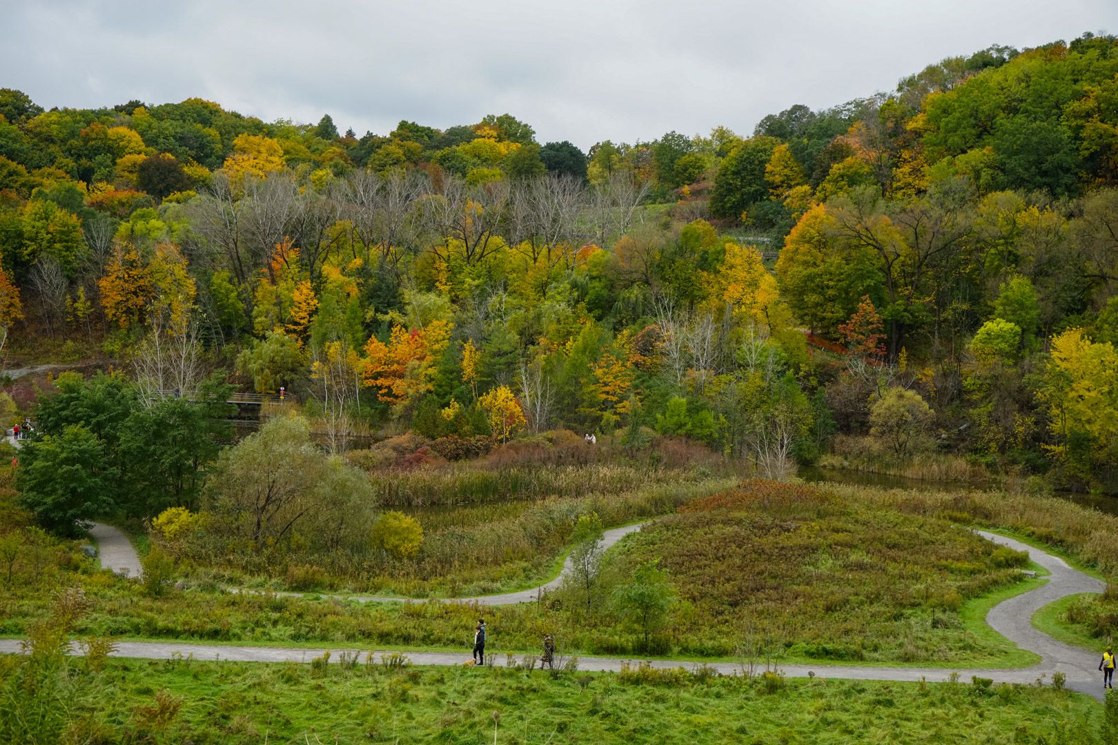 Evergreen Brick Works: Ravines Define Toronto, And It's Time to Talk ...