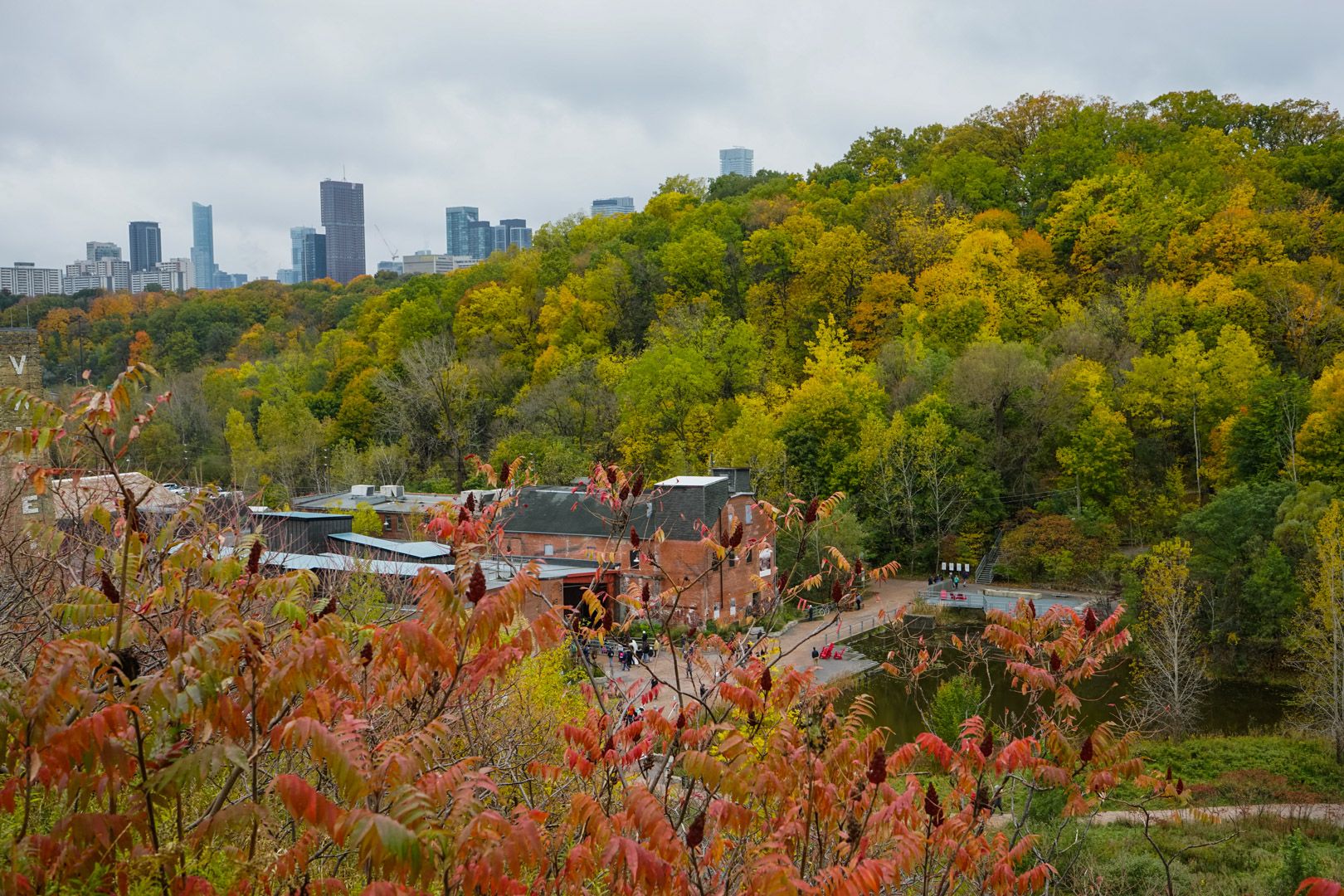 Evergreen Brick Works: Ravines Define Toronto, And It's Time to Talk ...